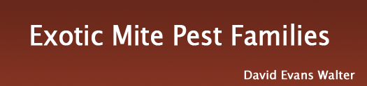 Exotic Mite Pest Families - Home