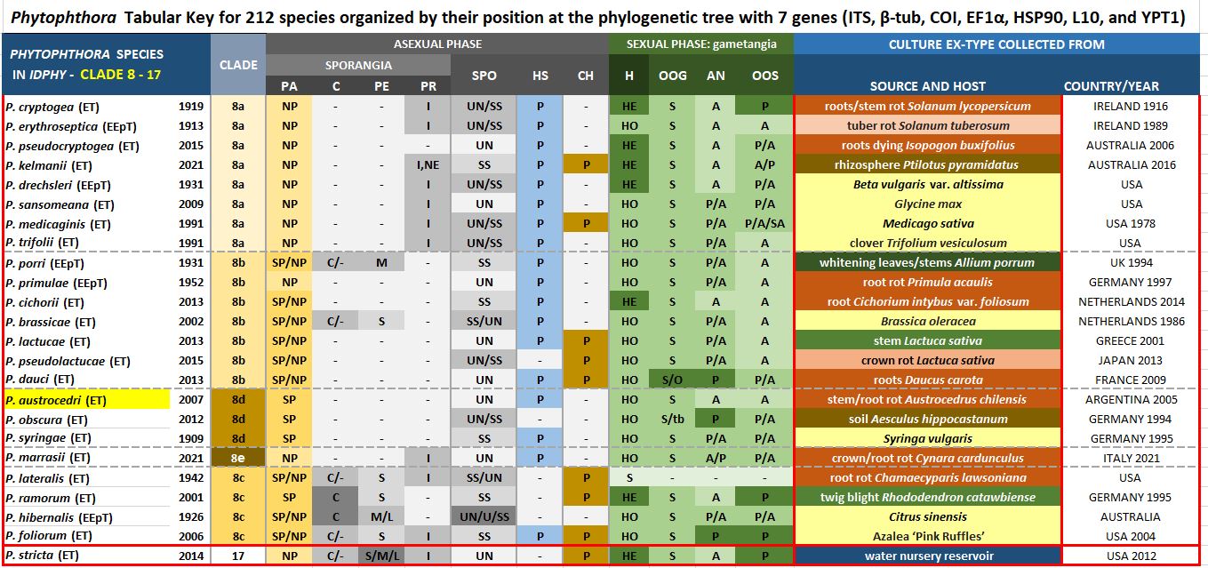 Phytophthora austrocedri | IDphy