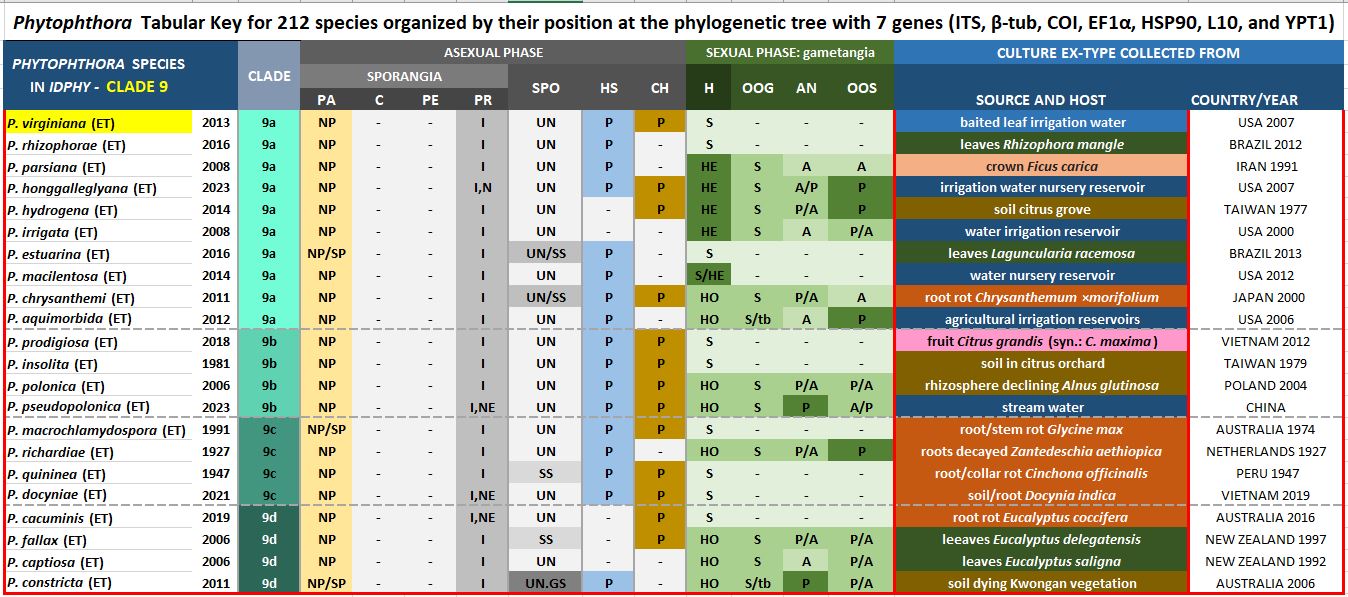 Phytophthora virginiana | IDphy
