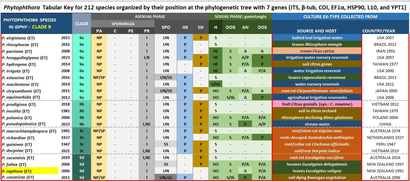 Phytophthora captiosa | IDphy