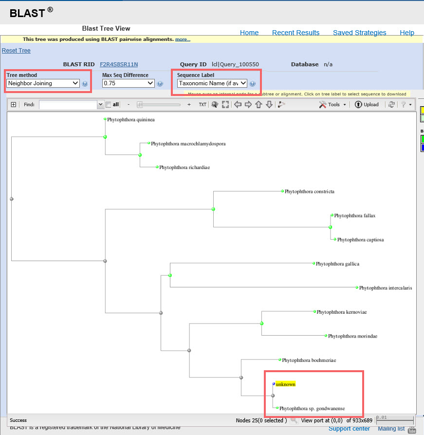 Molecular identification | IDphy