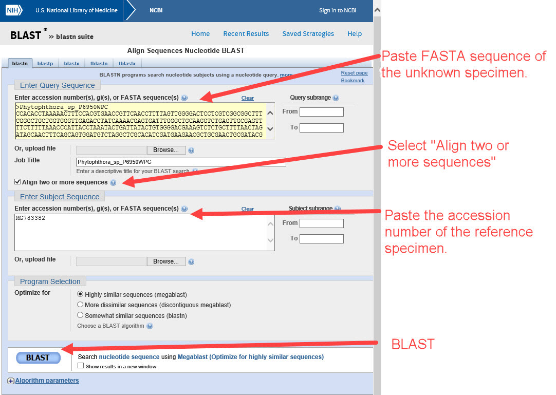 Molecular identification | IDphy