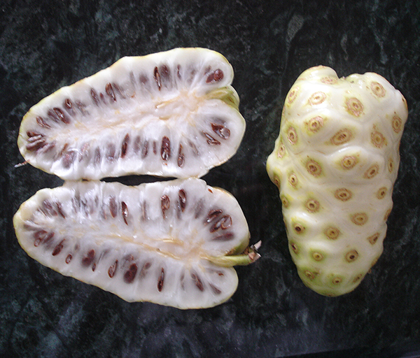Rubiaceae | Fruit and Seed Family ID