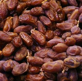 Arecaceae | Fruit and Seed Family ID