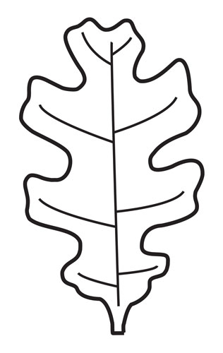 Feature: leaf shape | Dried Botanical ID