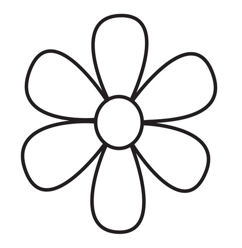 Feature: symmetry | Dried Botanical ID