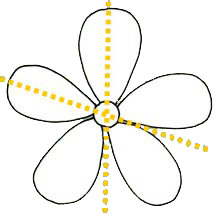 Feature: Flower symmetry | Aquarium and Pond Plants of the World E3