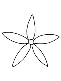 Feature: Perianth fusion | Aquarium and Pond Plants of the World E3