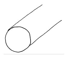 Feature: Stem shape in cross section | Aquarium and Pond Plants of the ...