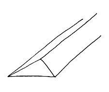 Feature: Stem shape in cross section | Aquarium and Pond Plants of the ...