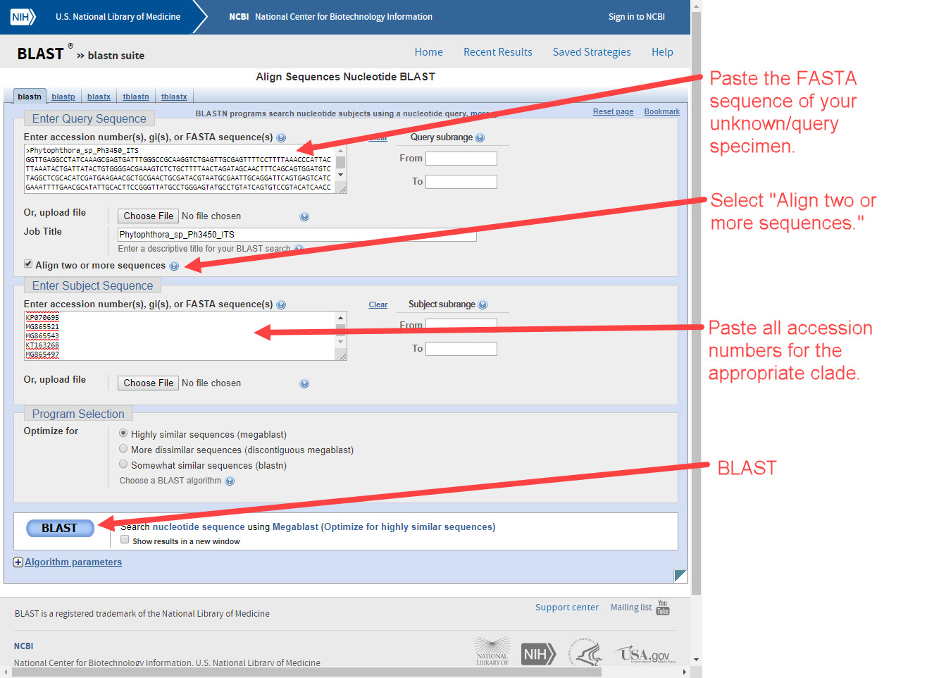 Molecular identification | IDphy
