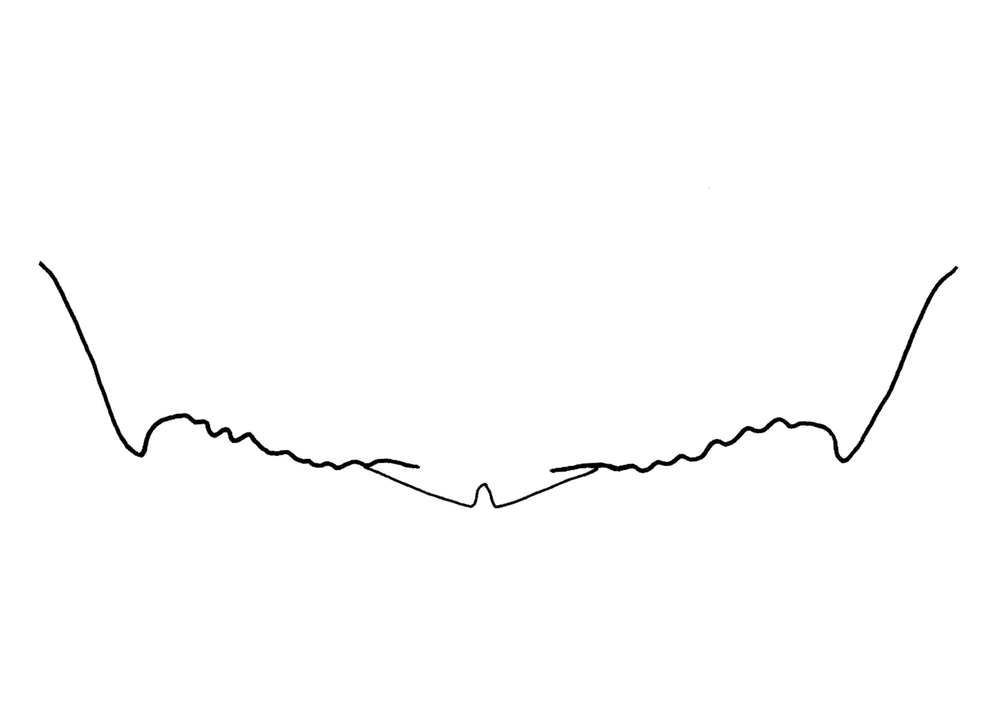 Anthidium cochimi | Exotic Bee ID