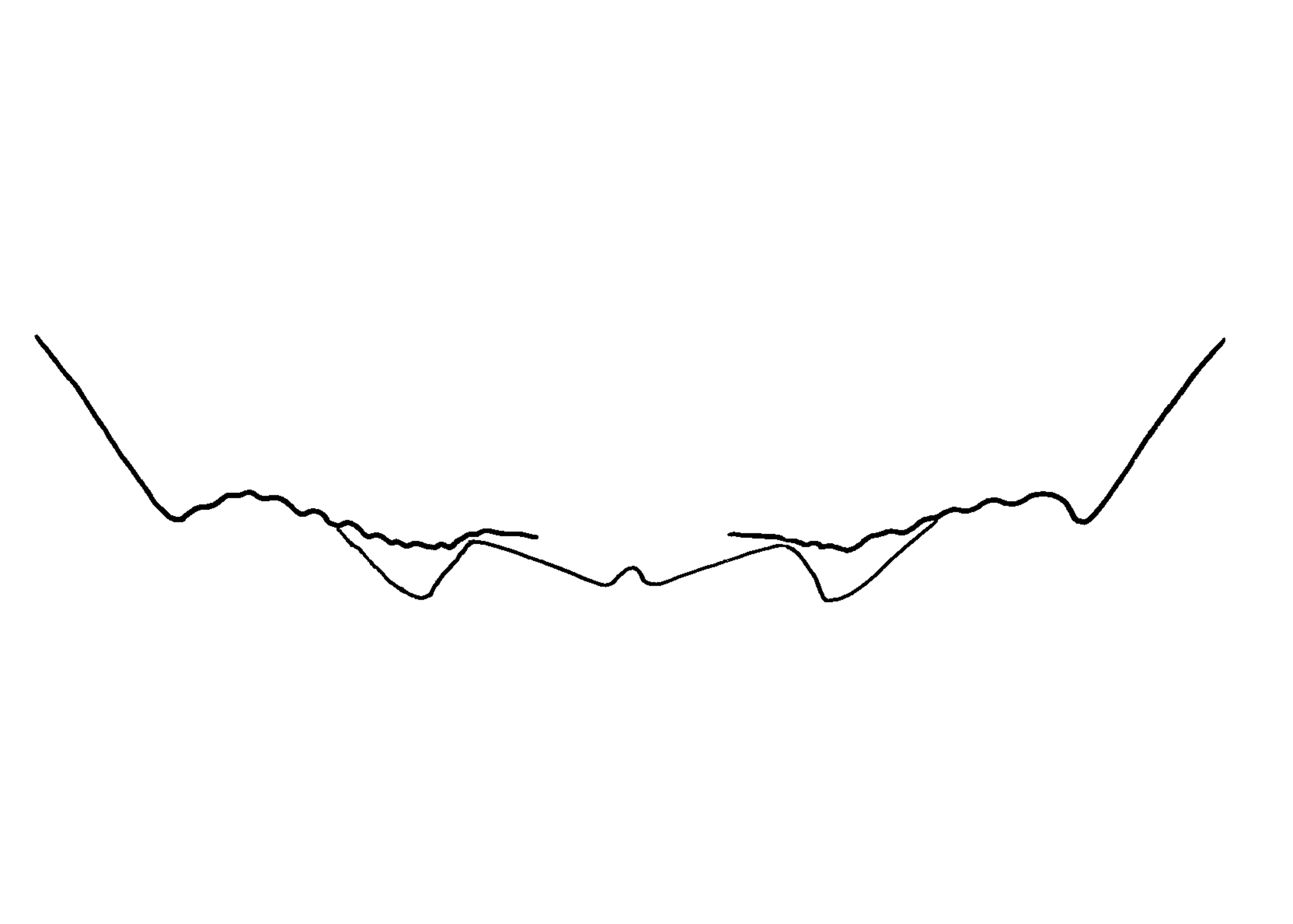 Anthidium porterae | Exotic Bee ID